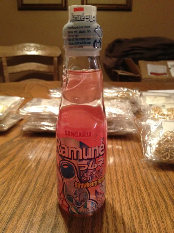 Welcome To The Adventures Of The Litton Family and Life With The ...