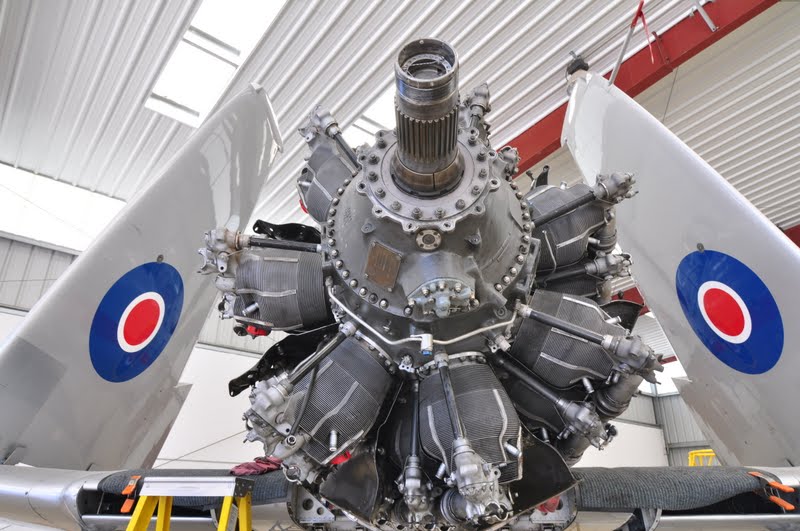 The Bluest Muse: Fabulous photos: Rag wings, warbirds and bi-planes, oh my!