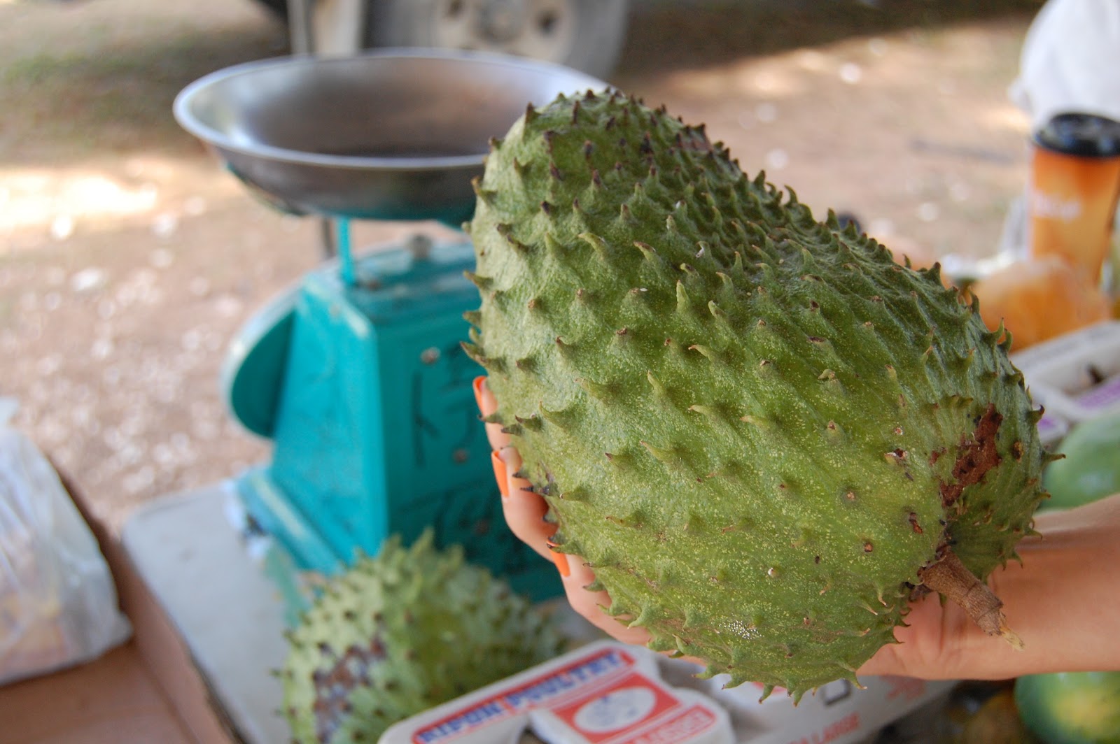 the saipantry: To market, to market....