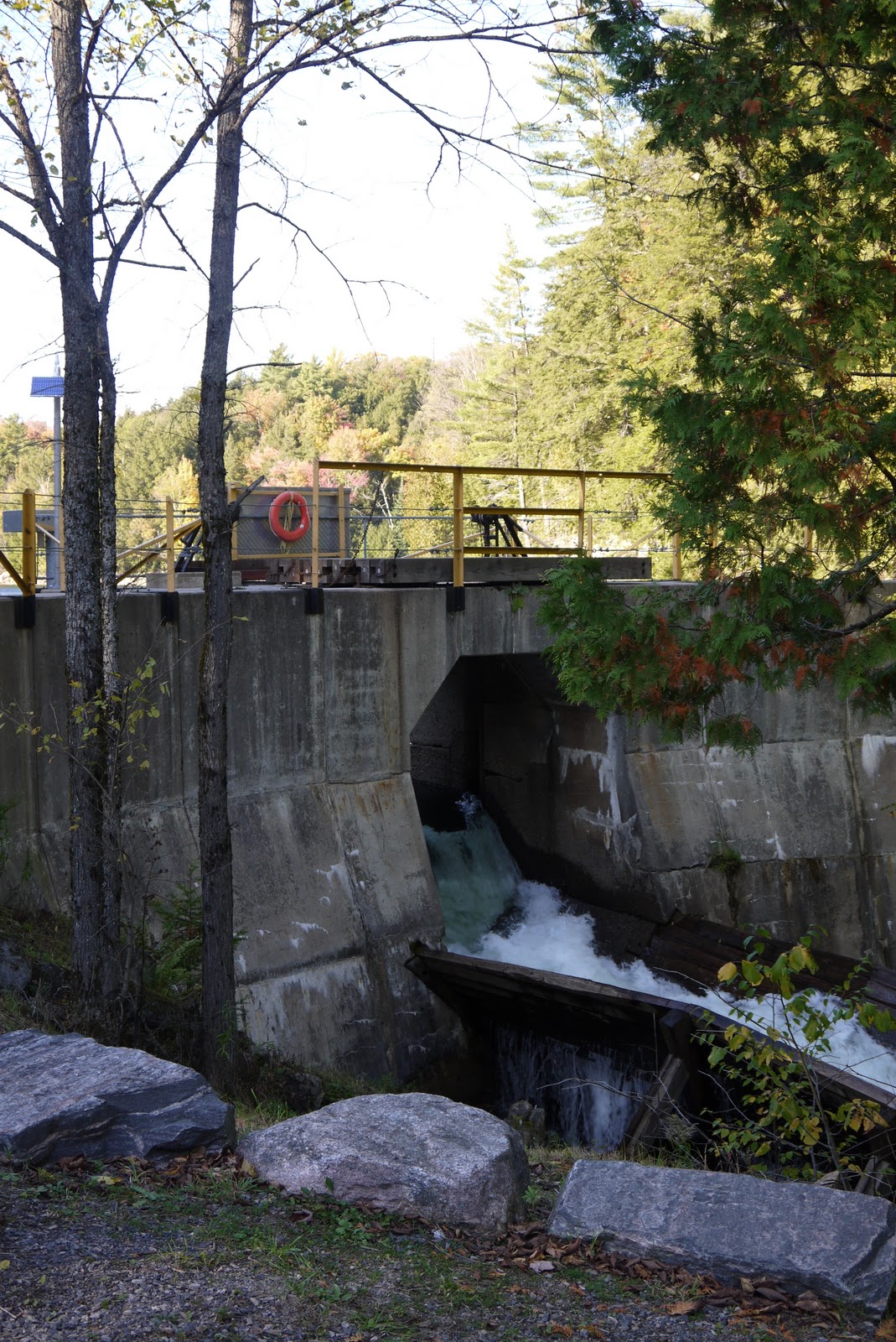 Sense and Simplicity: Log Chutes and Family Links