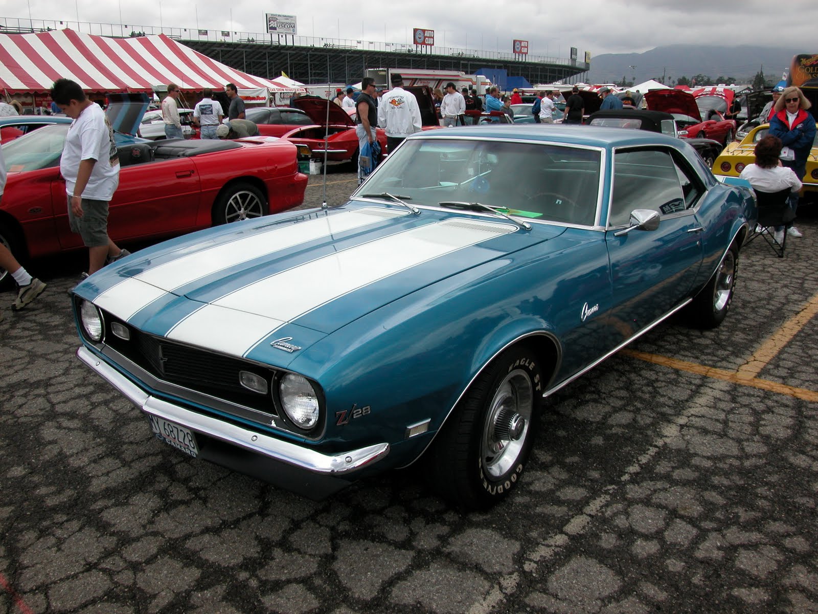 wallpapers fashion lover or entertainment: Musle Cars good ones