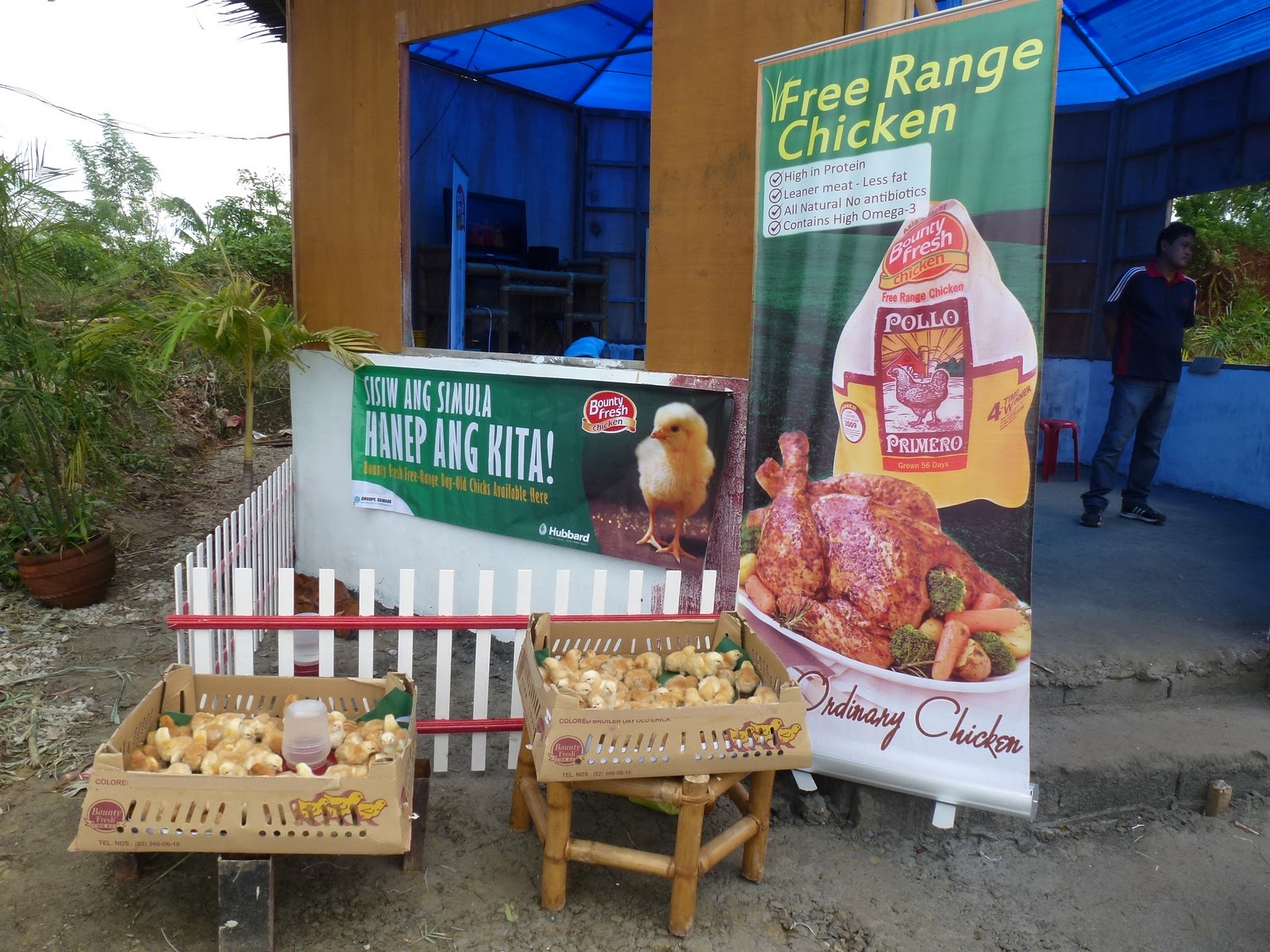 BOUNTY FRESH FREE-RANGE CHICKENS: Bounty Fresh Food Inc. is a proud ...