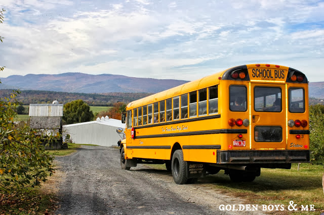 Fall in Vermont 2013 | Golden Boys & Me