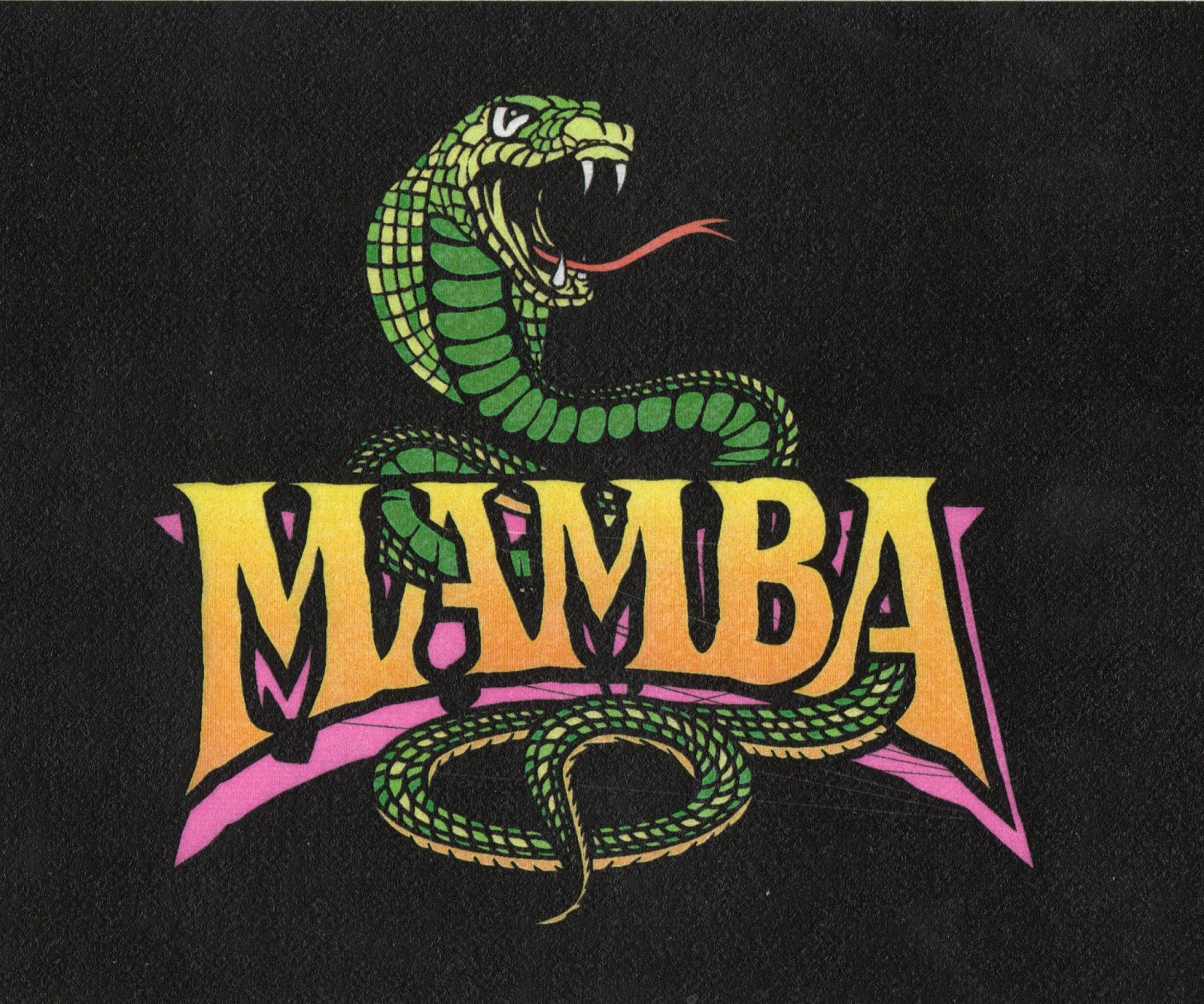 Worlds of Fun.Org: Sit Up Right... Hold on Tight... Because Mamba is ...