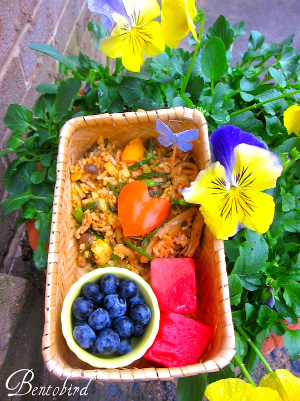 Bentobird: rainy day fried rice bento