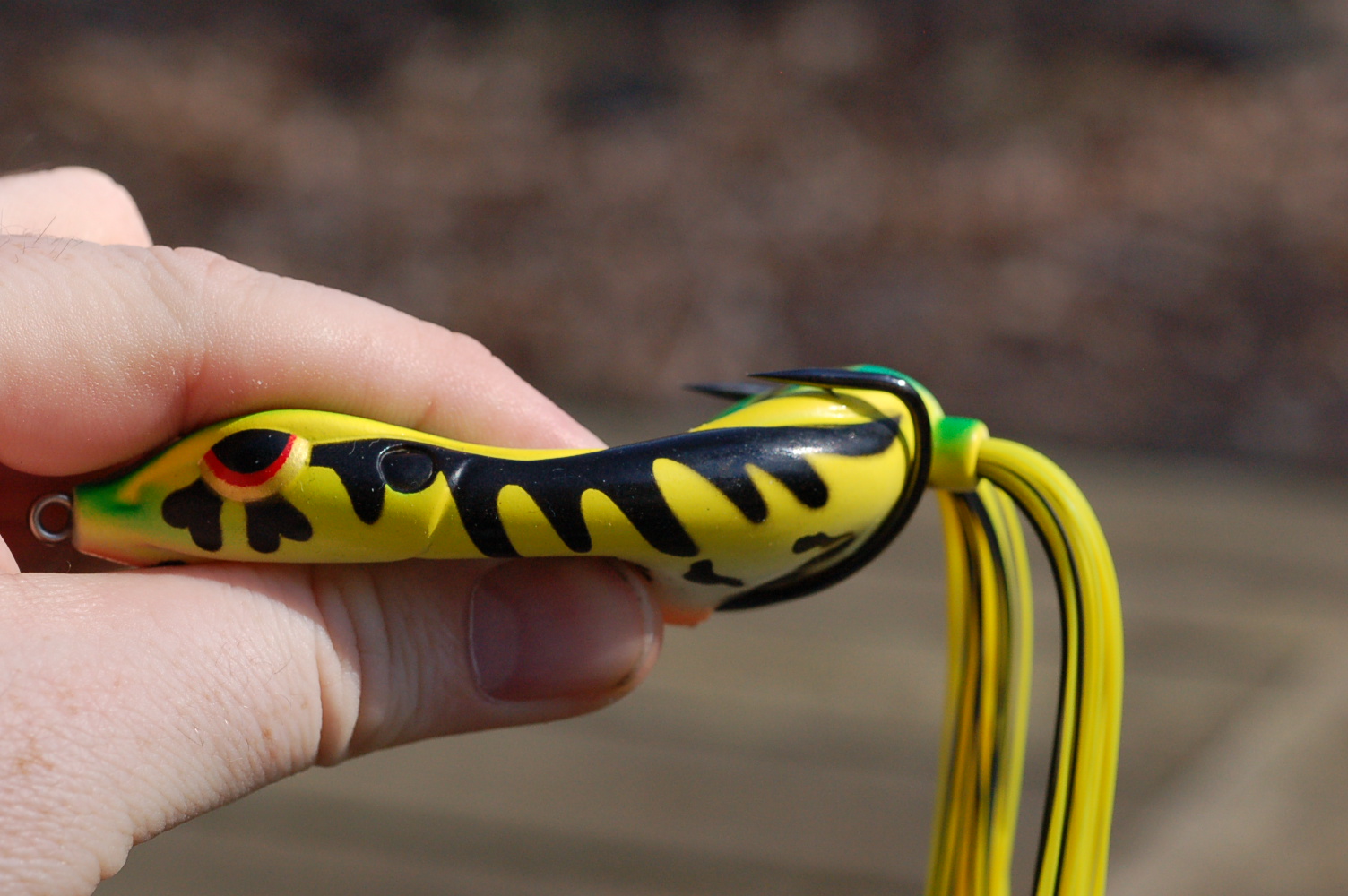 Bass Junkies Frog Pond: Spro: King Daddy Frog Review