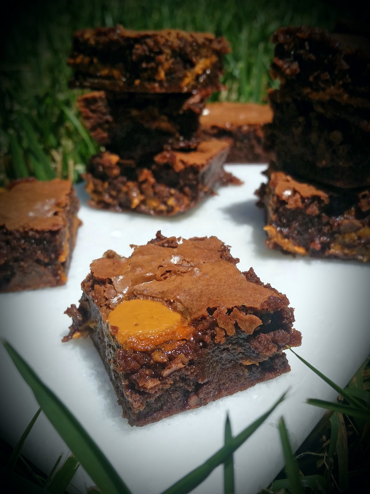 Savvy Chef: Ultimate Chewy Fudge Chocolate Brownies