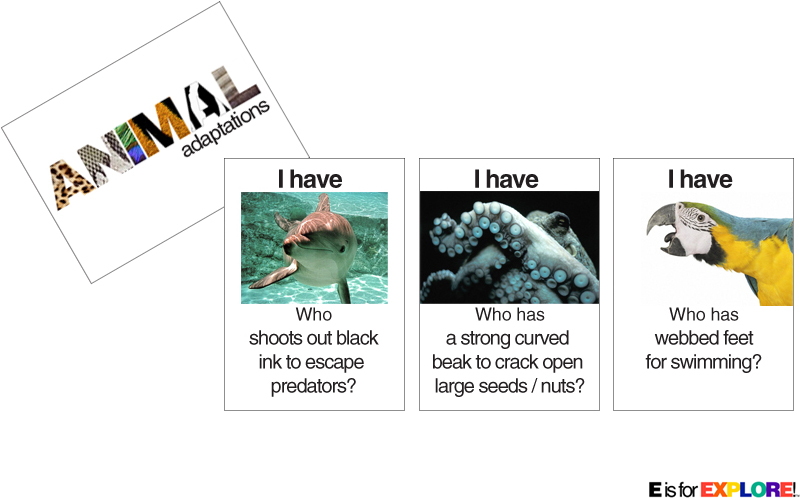 E is for Explore!: Animal Adaptations - I Have, Who Has?