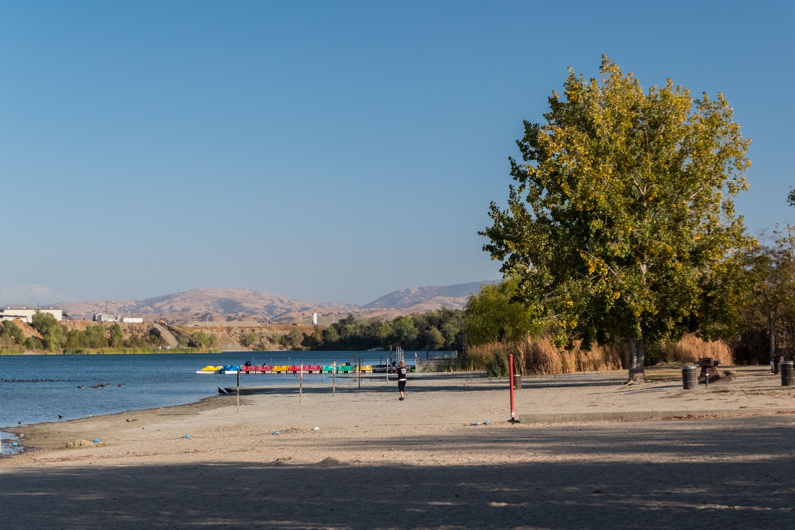 Naturetastic Blog: Shadow Cliffs Regional Park (10/3/2017) - Pleasanton, CA