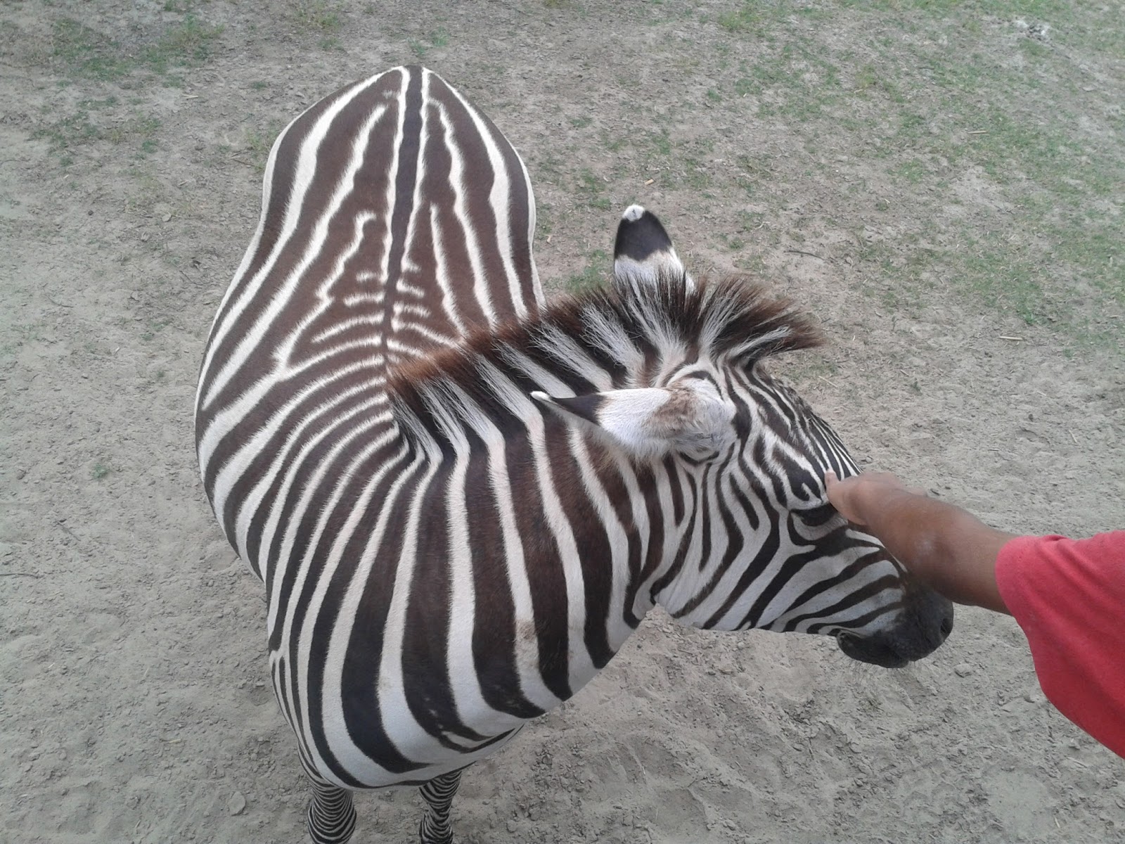 Viviendo en la frontera Reynosa McAllen: septiembre 2015