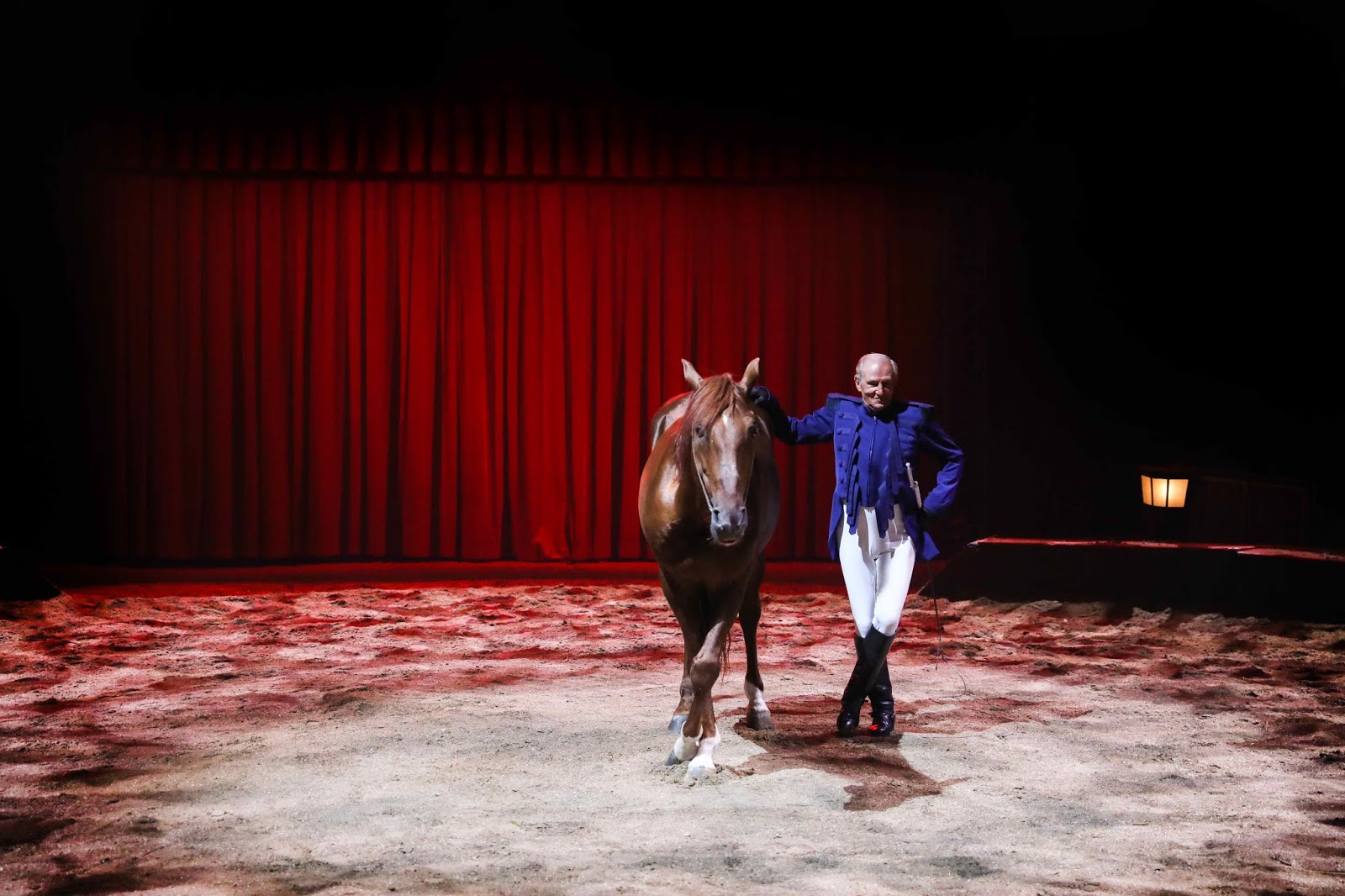 Le cirque Alexis Gruss présente son nouveau spectacle Origines - DAME ...