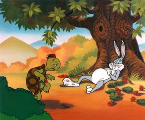 5 Lessons from the Tortoise | faithlife365