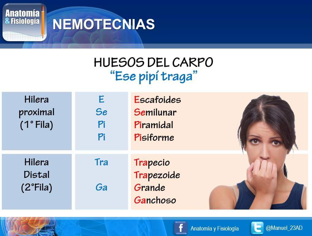 FISIOLOFAR: NEMOTECNIAS EN ANATOMÍA