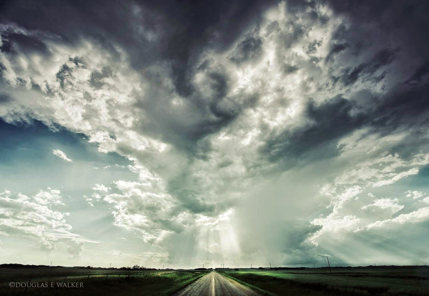 Douglas E. Walker Photographer