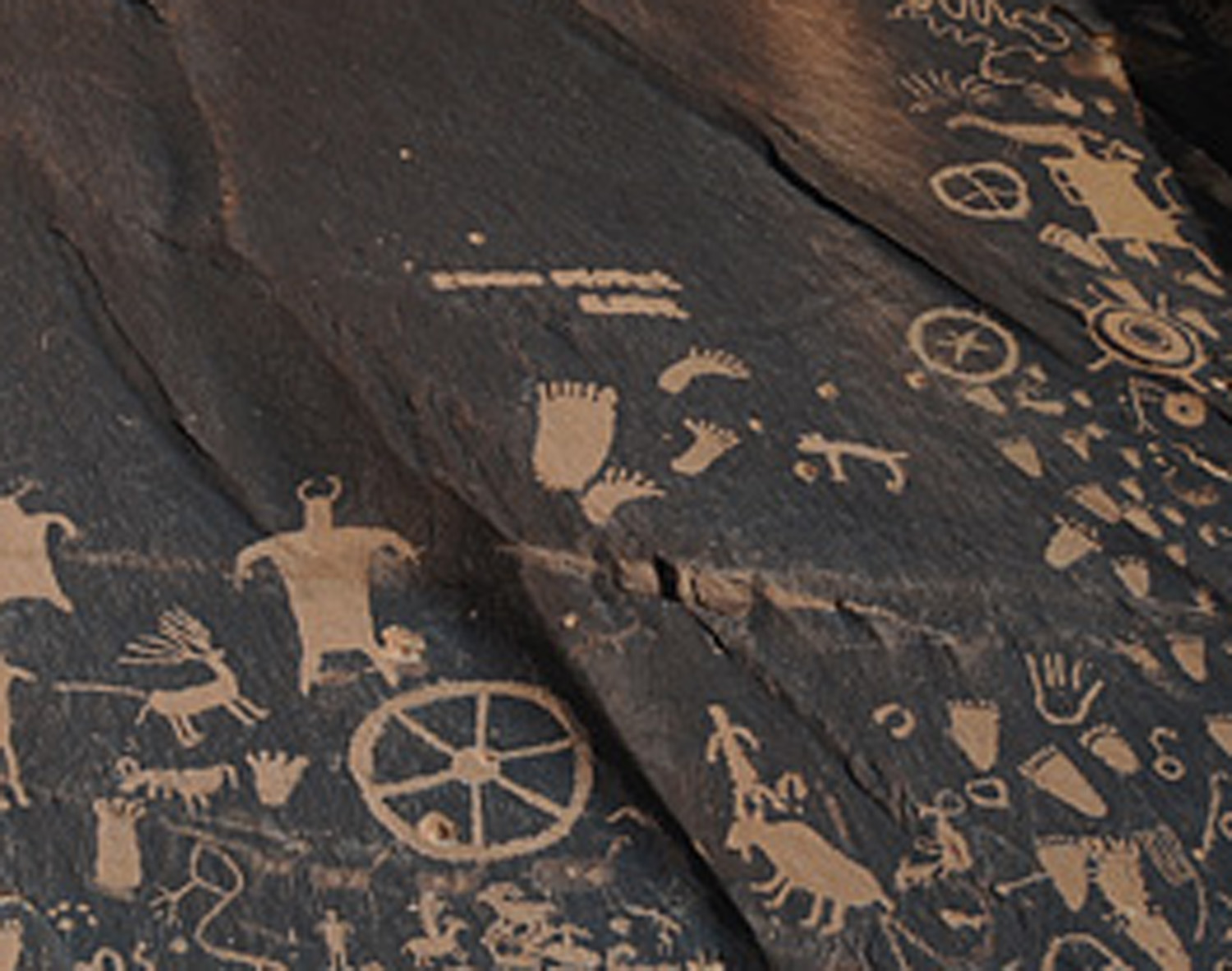 Horned Giants Found Around America!