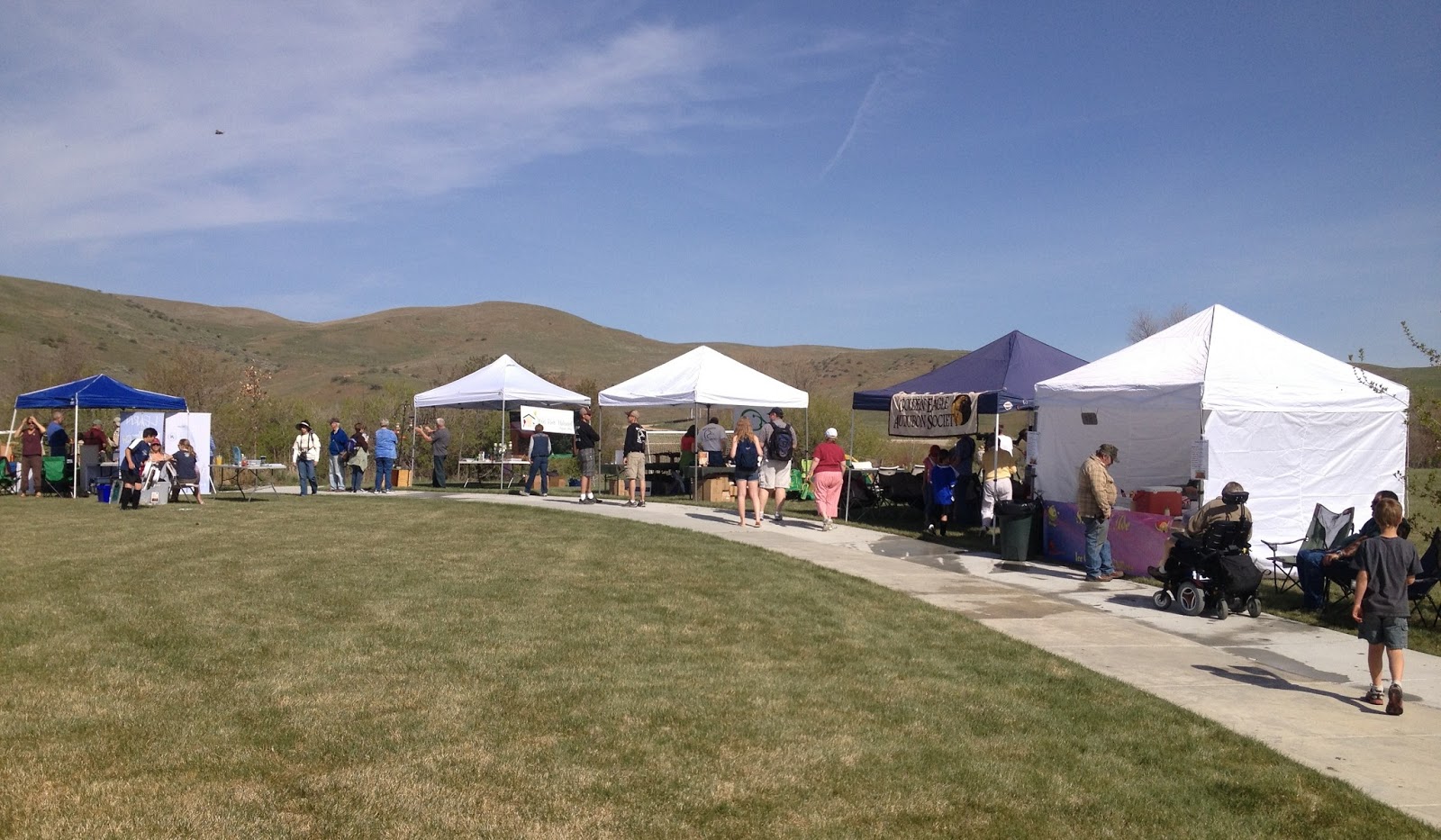 Birding Is Fun!: Boise Bird Festival - Idaho's Pledge to Fledge Event