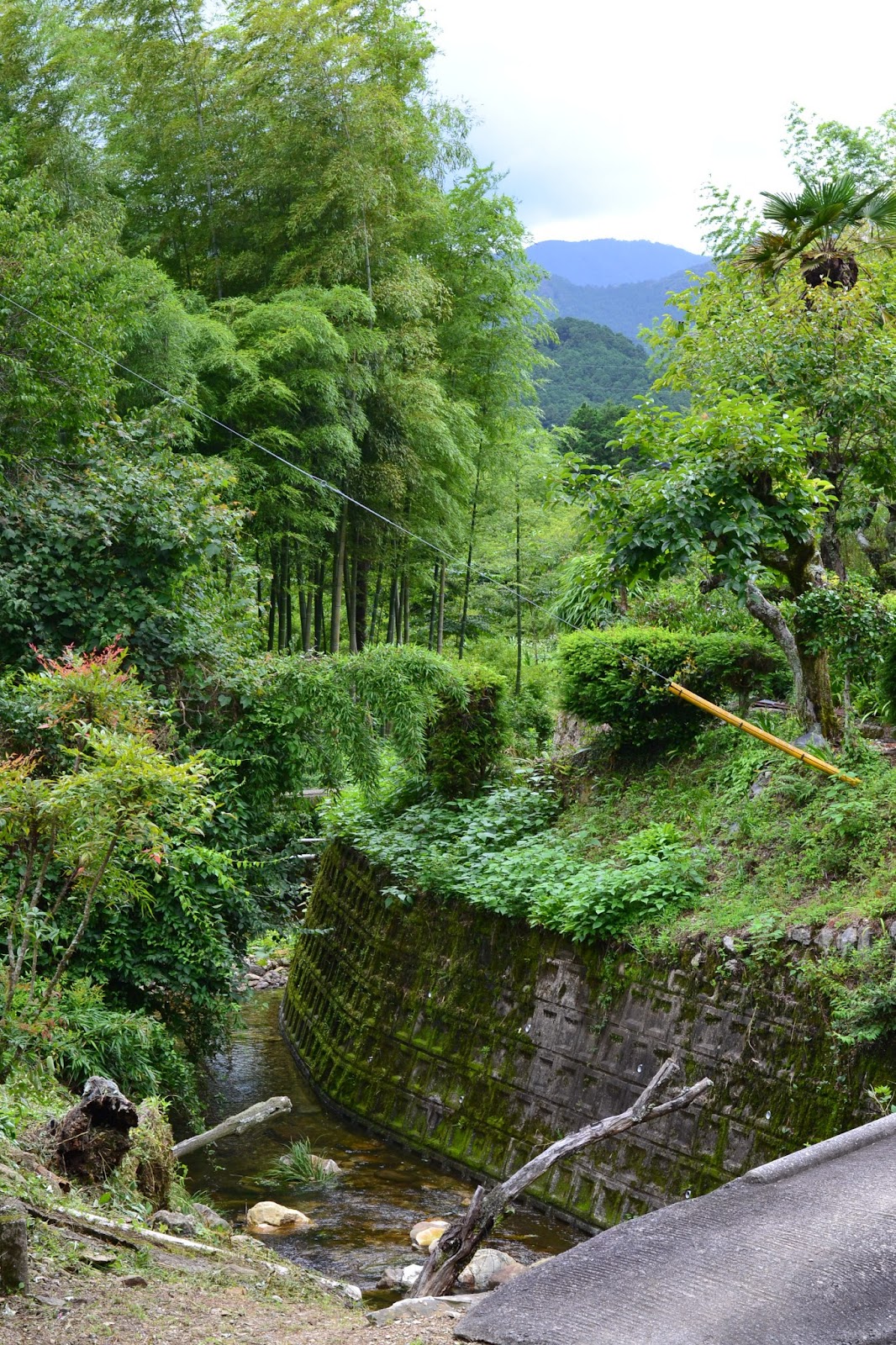 Victoria In Japan Land: At the Bottom of Horaiji in Shinshiro, Japan