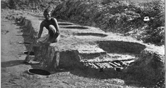 Firearms History, Technology & Development: The History of Saltpeter - XIII