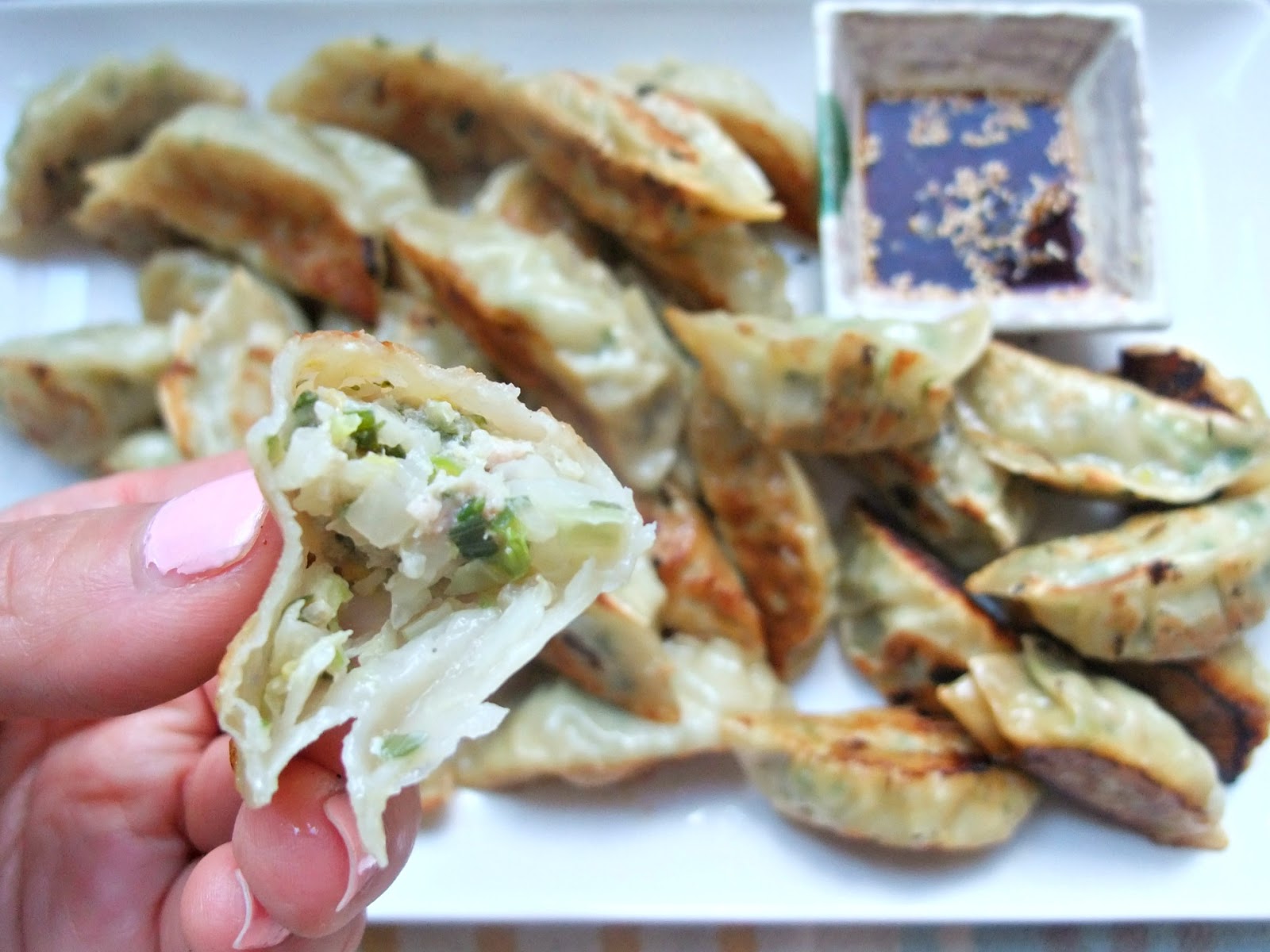 Susan's Savour-It!: Japanese Cabbage and Pork Gyoza...