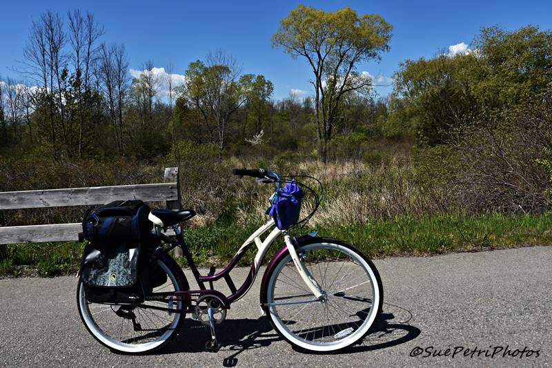 A day in the Life: Scenic Bike Ride
