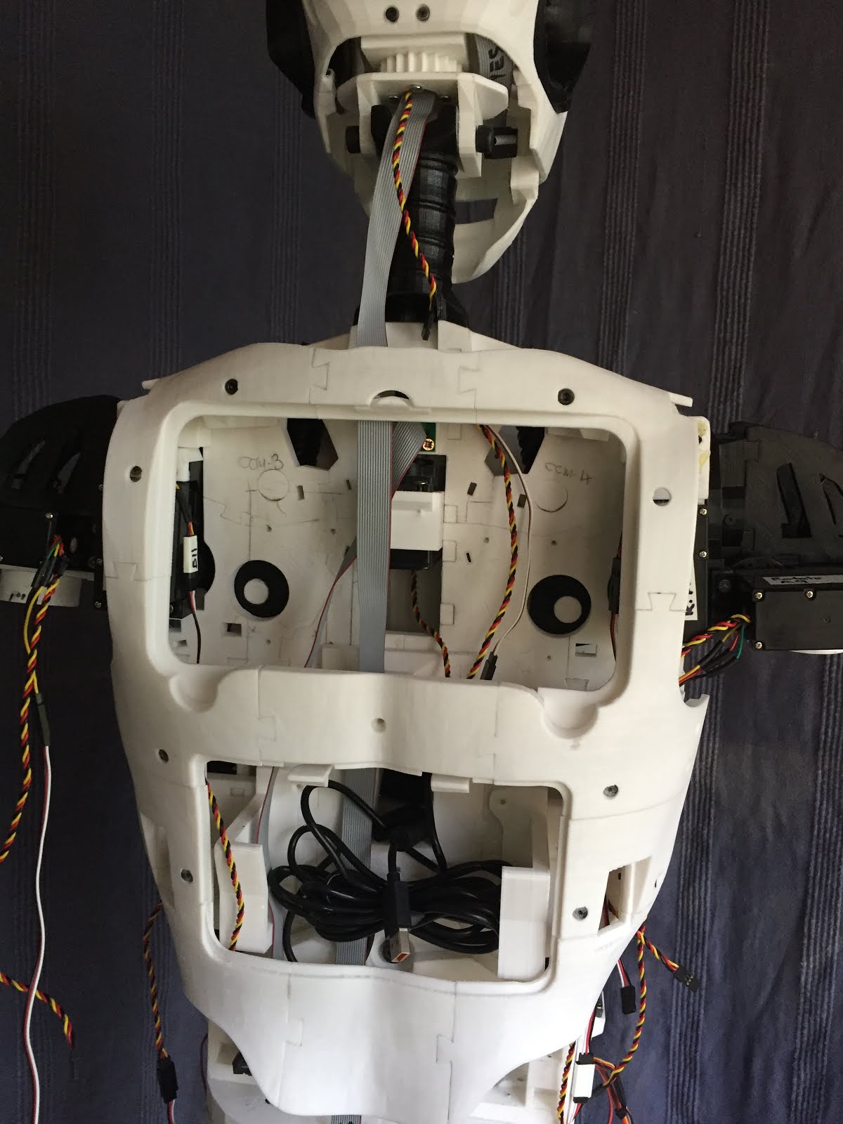 General InMoov and other build photographs