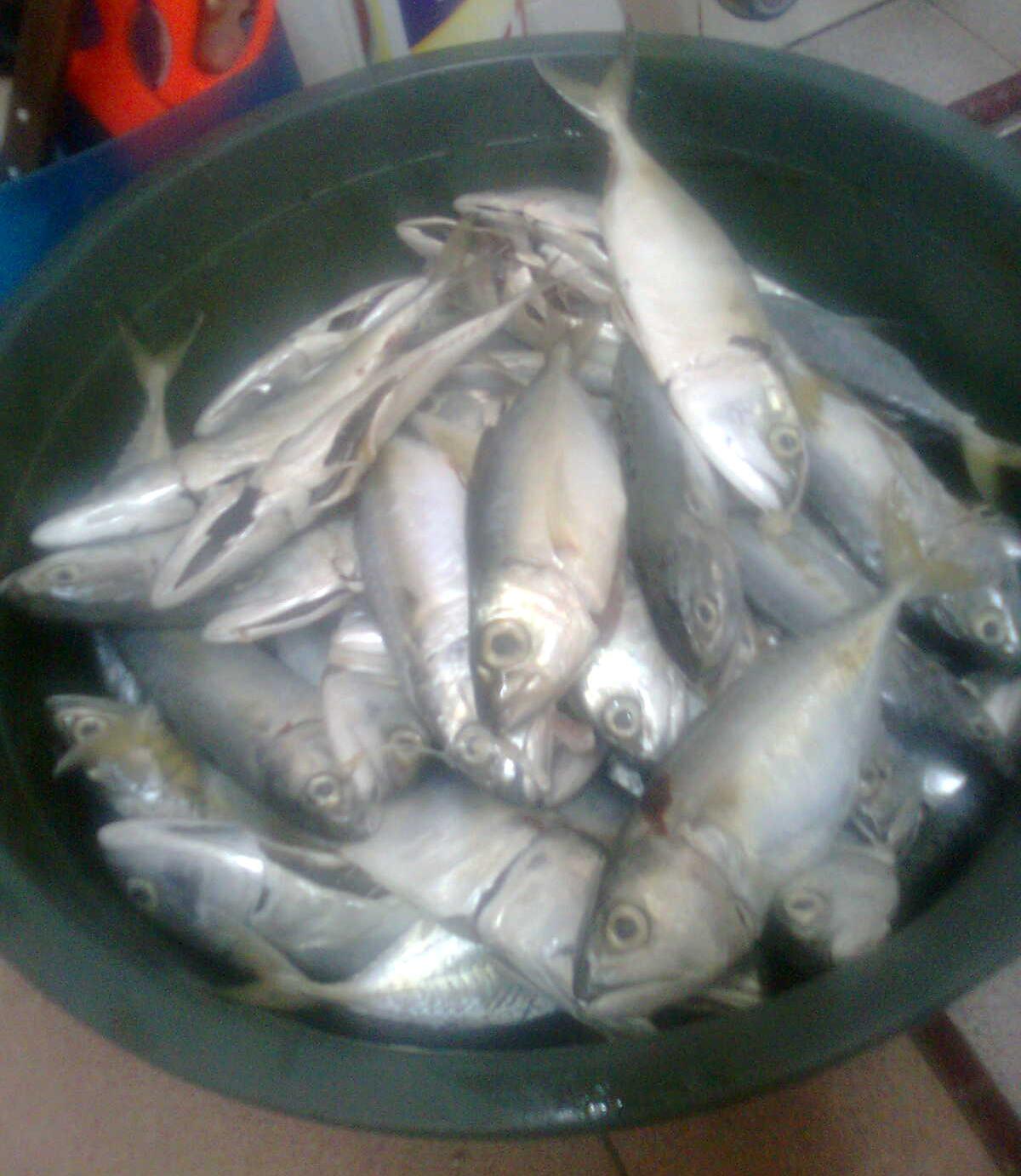 Labun Cikgu Lin: GULAI TEMPOYAK IKAN PELALING