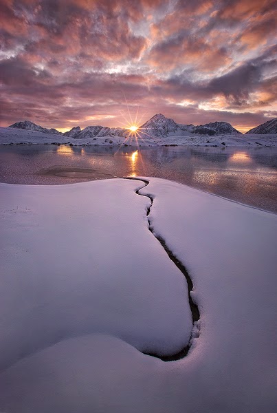 :: Alexandra Proaño 3D - Green Pear Diaries ::: Marc Adamus ...