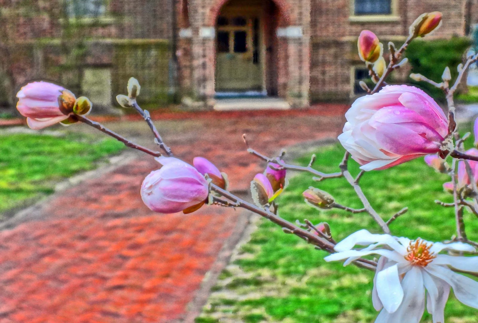 Joe's Retirement Blog: High Dynamic Range (HDR) Painting, Williamsburg ...