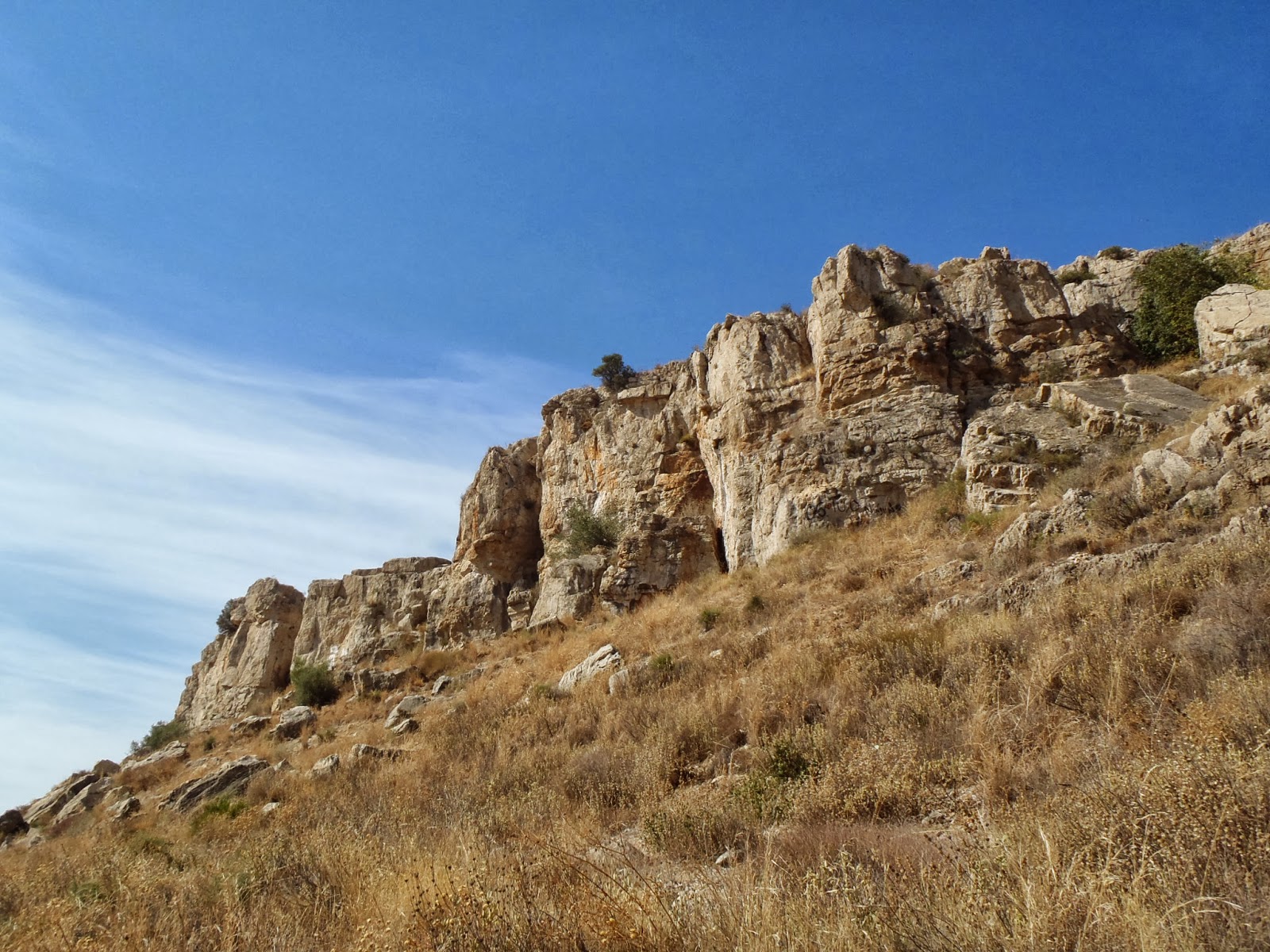 Legión Fénix: Loma de las Chicas, Cerros Coronado y Los Angeles