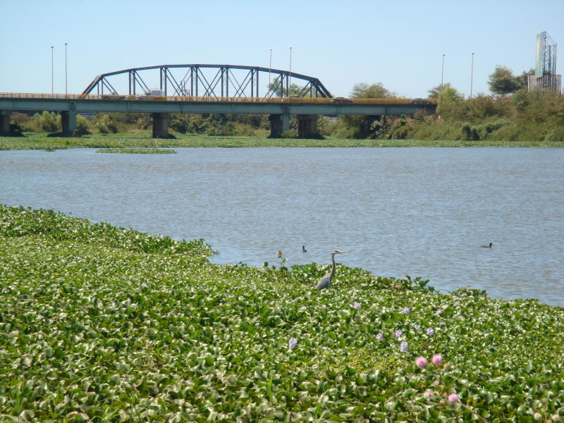Corre Héctor Corre: Naufragio en el Río Humaya