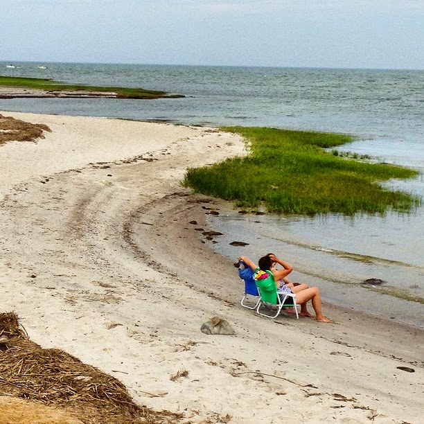 The TTABlog ® : TTABlog Quarterly Index: July - September 2014