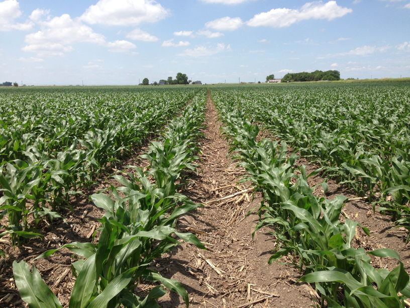 Platte Valley Farmer: Sidedressing Corn