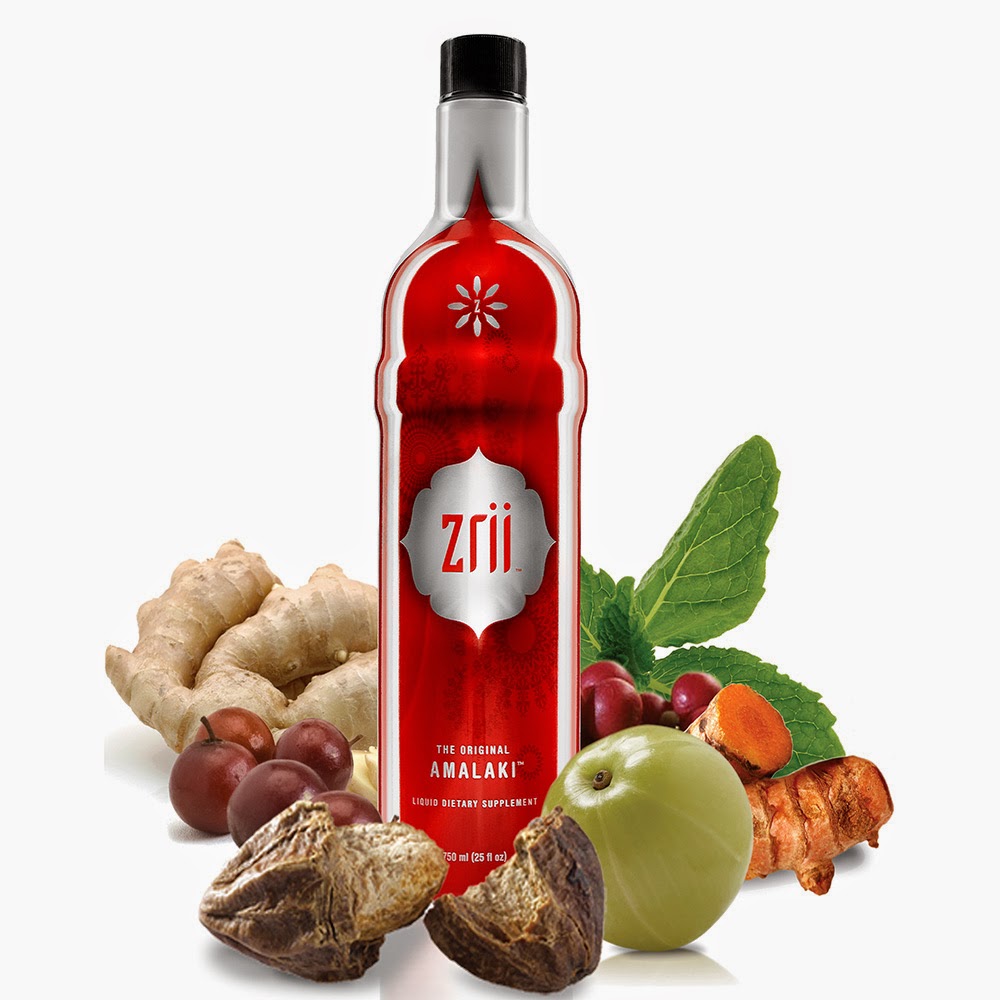 Negocios Rentables Zrii