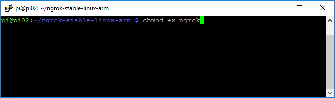 Creating a publicly accessible REST Web API on a Raspberry Pi3