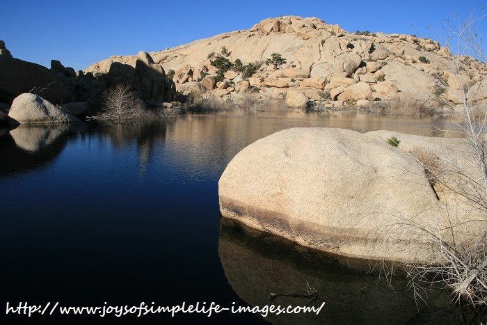 The Joys of Simple Life: Barker Dam Loop Trail, Joshua Tree National Park