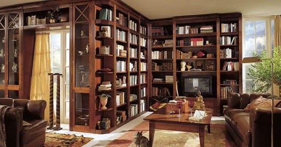 How To Decorate Your Personal Home Library in More Efficient Ways