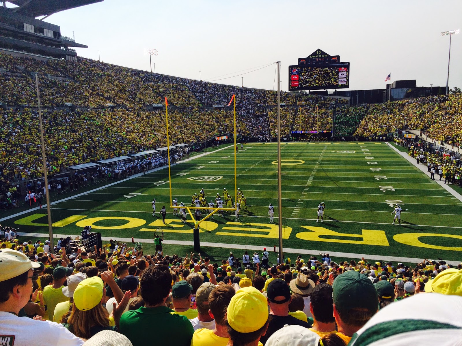 PJ Hannant: Go Ducks