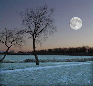 XOXOShawn&SGTexOXOX: December Moon....