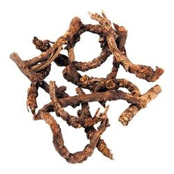 The Healing Herb: Picrorhiza kurroa |The Healing Herbs of India