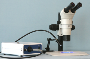 Microscope World Blog: Stereo Fluorescence Microscopy