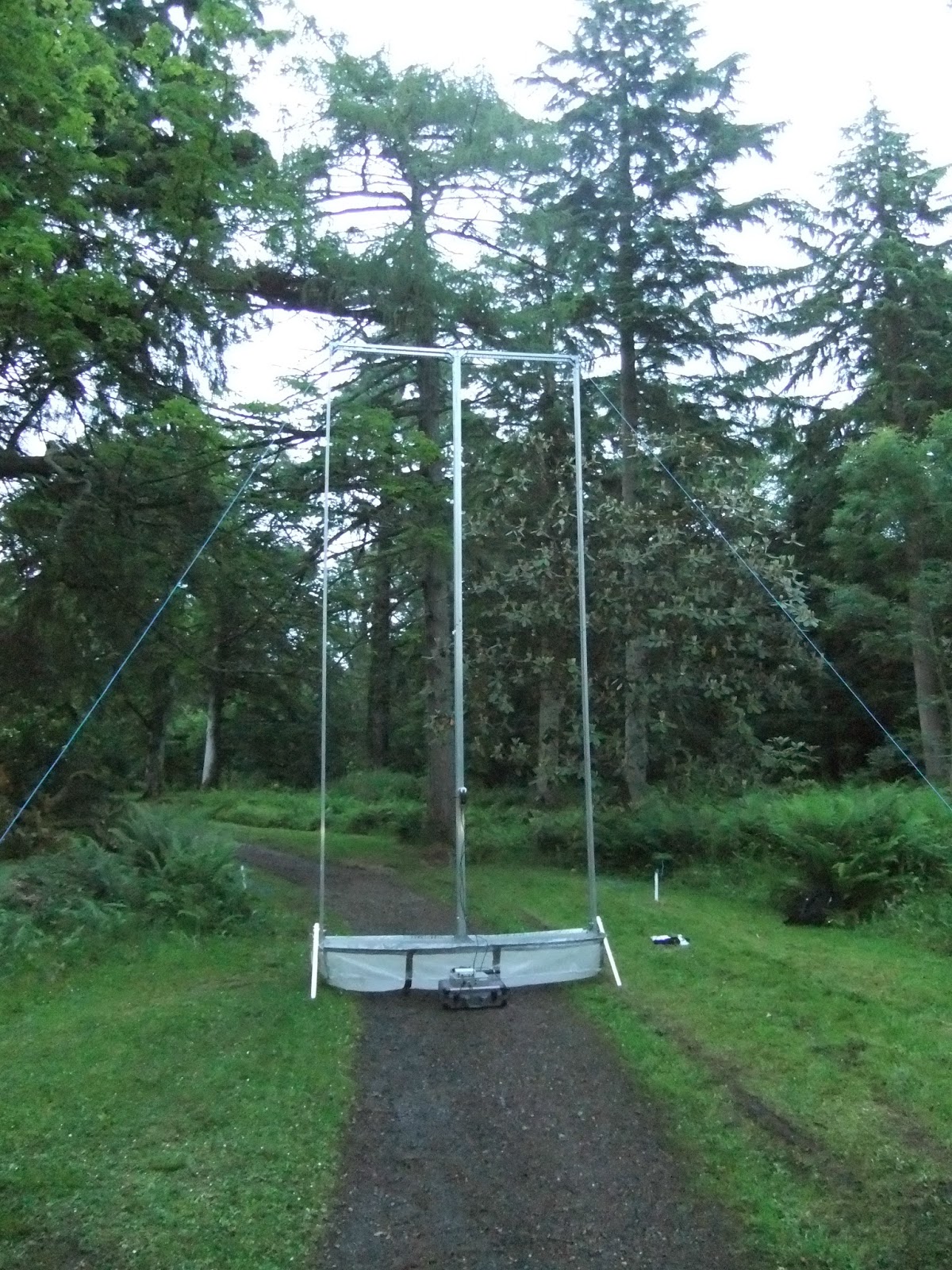 David's Bat Blog: Goliath - the Daddy of harp traps