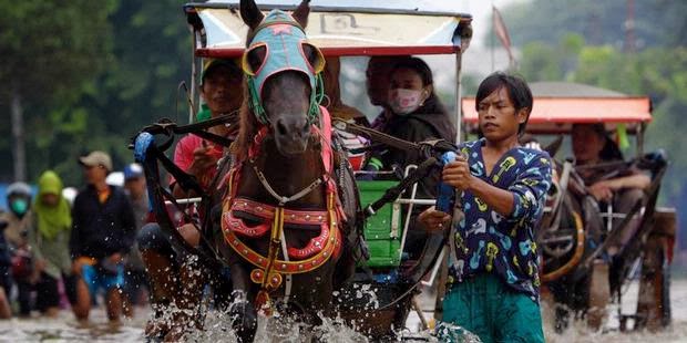 Relasi Pada Kelompok Kusir Delman | K I T A J U . G A