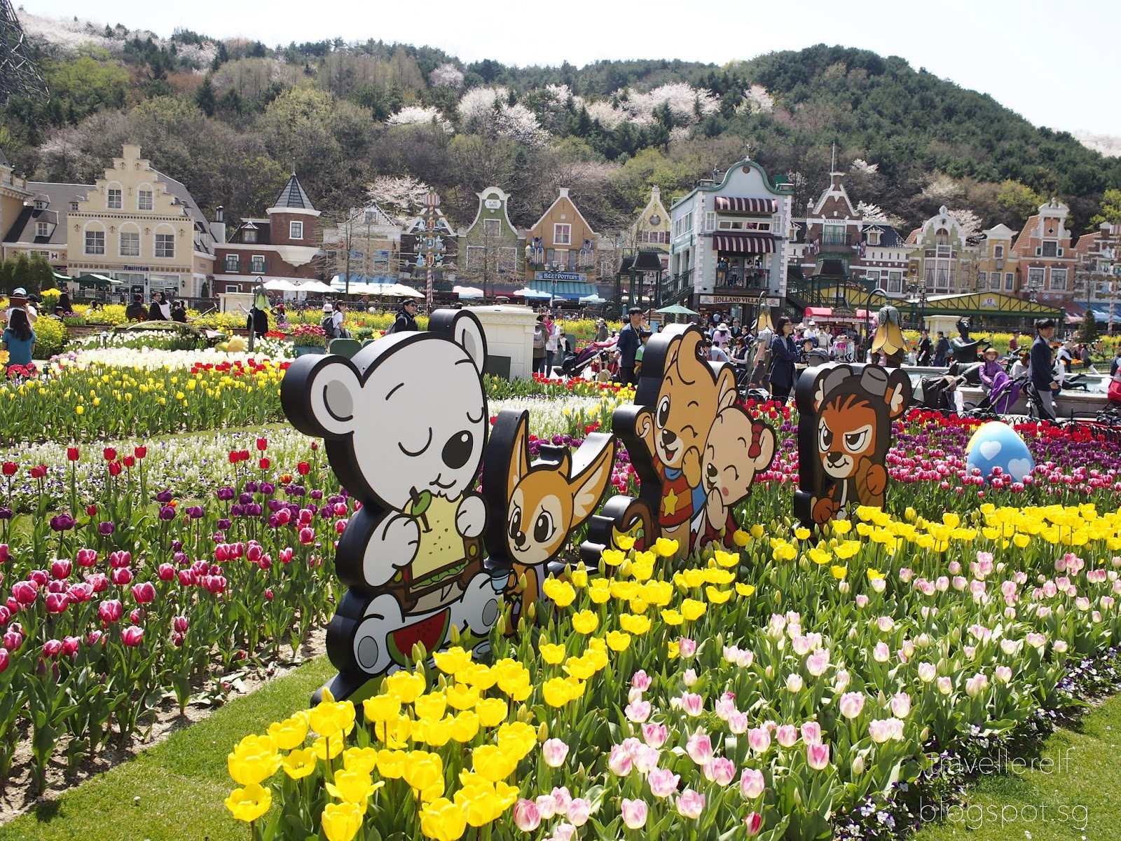 The Search for Cherry Blossoms in Korea ~ Everland (에버랜드) - Travellerelf
