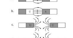 MACAM-MACAM MAGNET DAN KEGUNAANNYA LENGKAP - Buku Ajaran SMA SMK