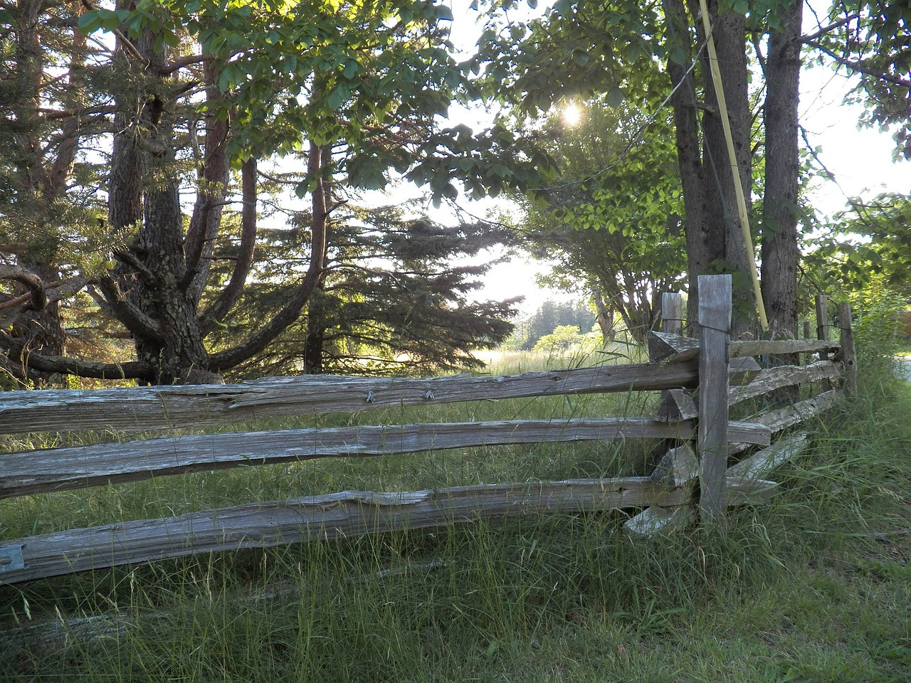 How To Avoid Being Run Out Of Town On A Rail