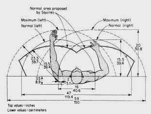 Skinner's Room: anthropometry