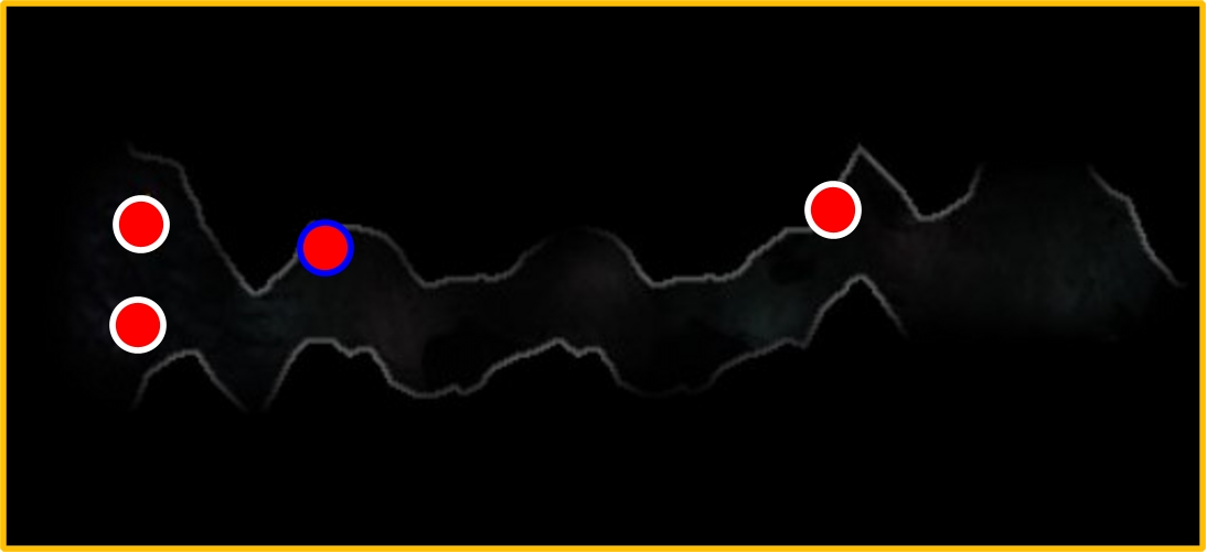 Wonderful Places in LOTRO's Middle Earth