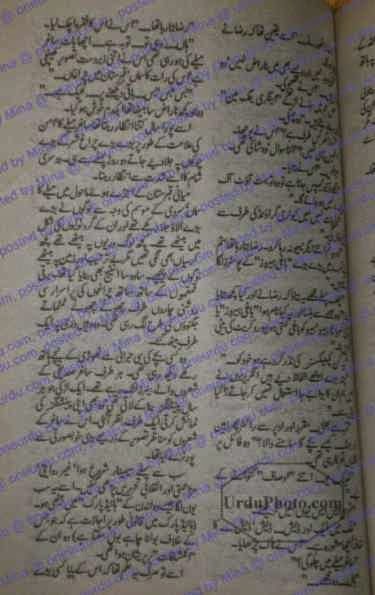 Kutab Library: Mein neel karaiyan neelkan by Fareha Arshad Online Reading.