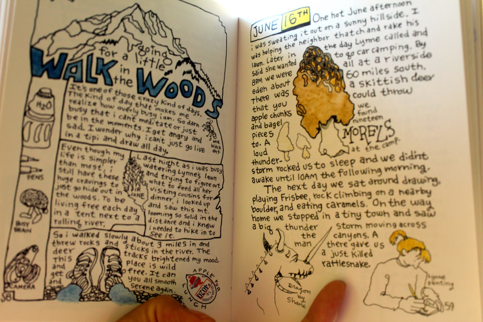 Remains of the Day: Nature Journaling ~ The Hiking Journal