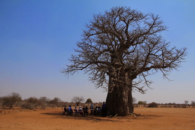 An African Odyssey: Under the Baobab Tree